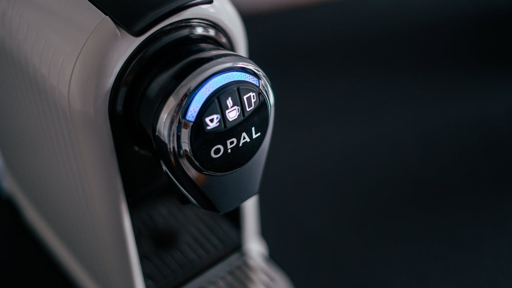 Collections – Page 3 – hamlet